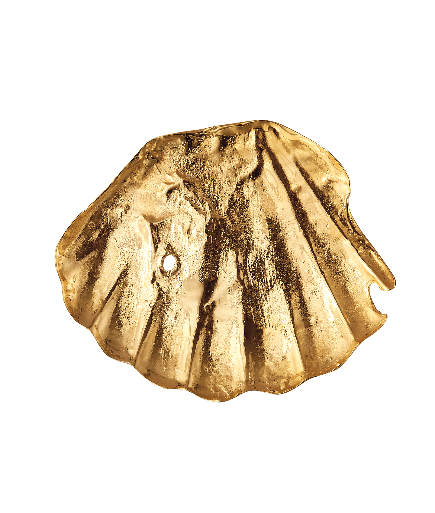 The Alighieri Shell of Clarity Dish